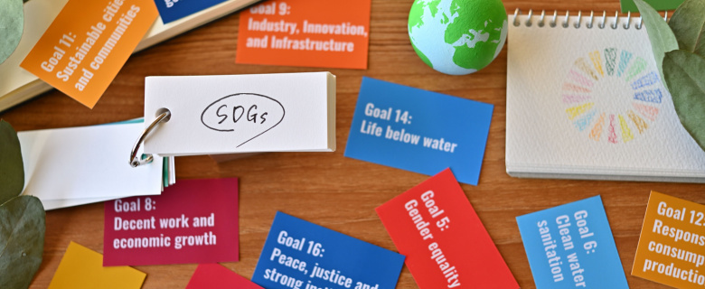 Fostering Change: MENA Region Libraries and the Sustainable Development ...